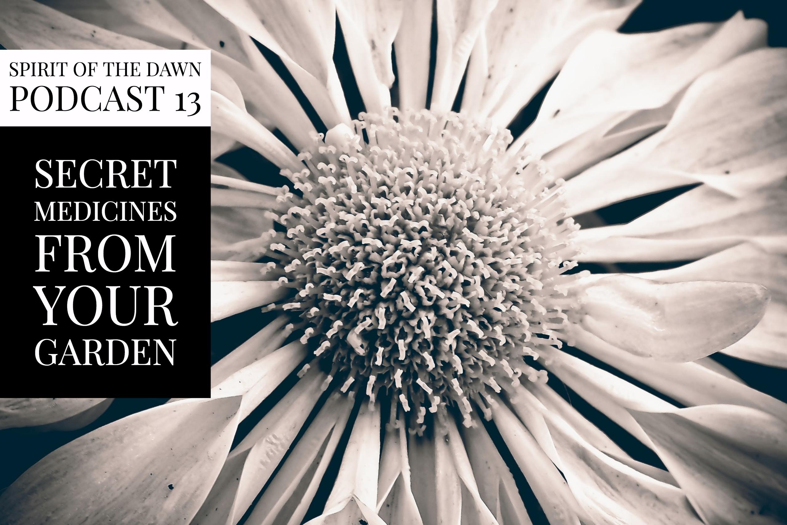 Messages from Matthew with Suzanne Ward | Spirit of the Dawn