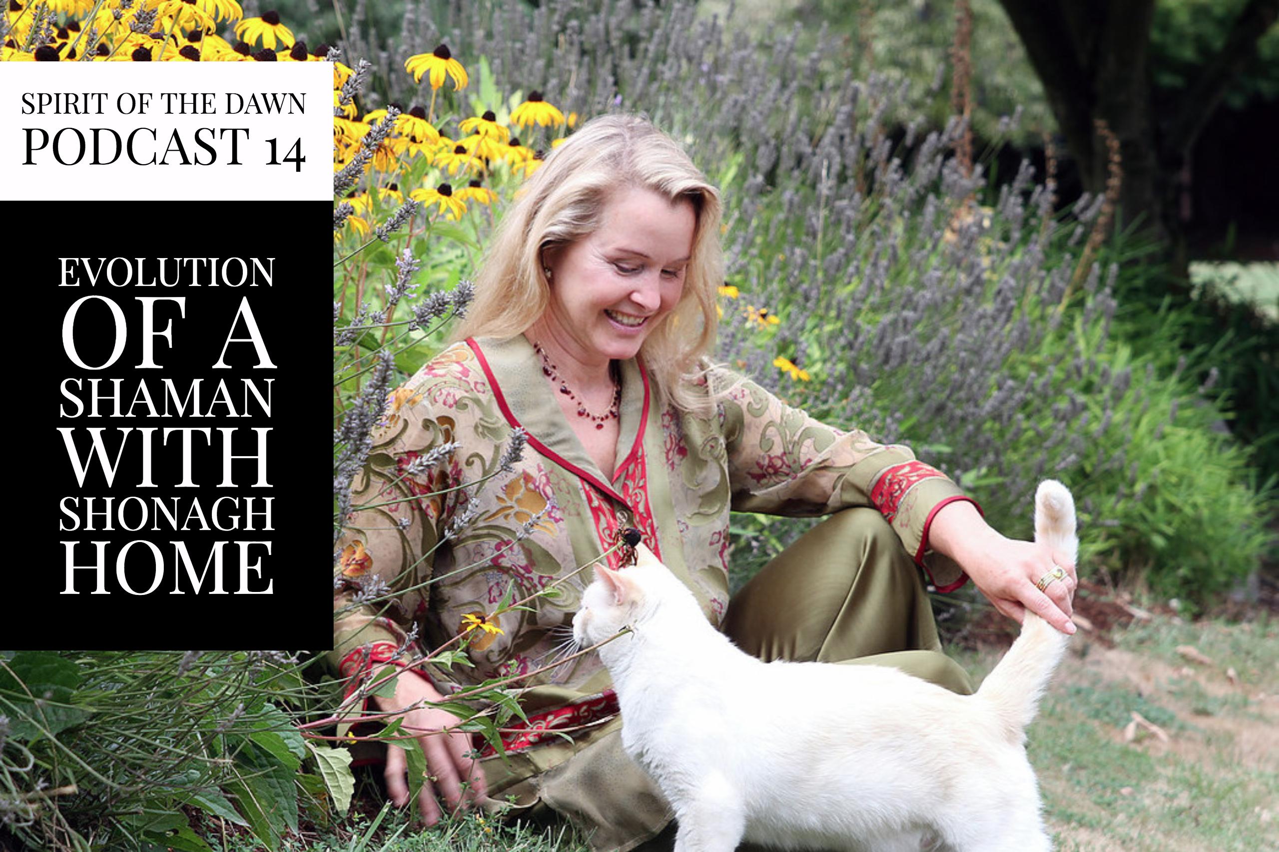 Messages from Matthew with Suzanne Ward | Spirit of the Dawn